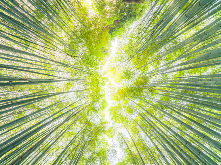 Home - Deep Water Point & Associates