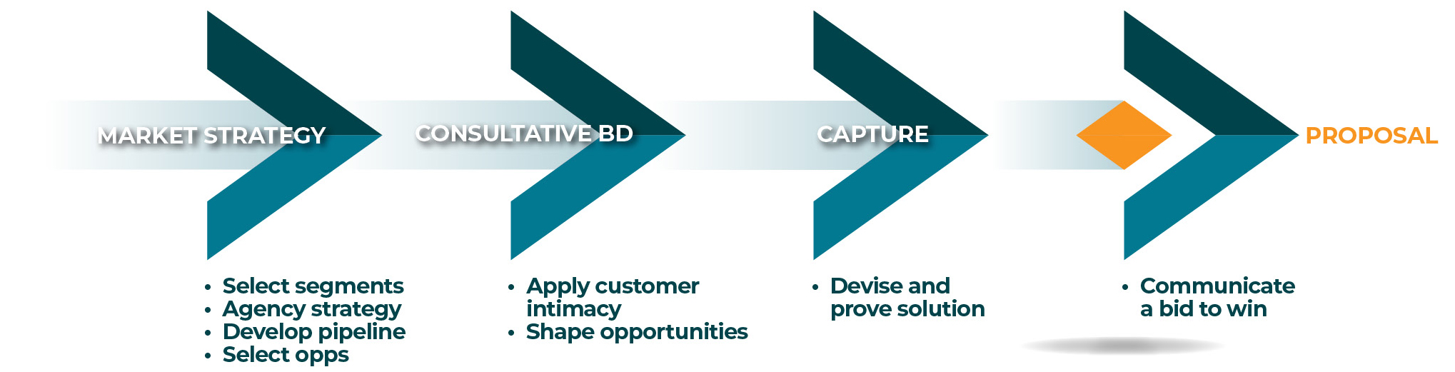 Capture & Proposal - Deep Water Point & Associates